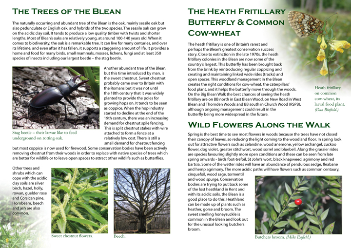 walk leaflet design | Interpretive design and consultancy