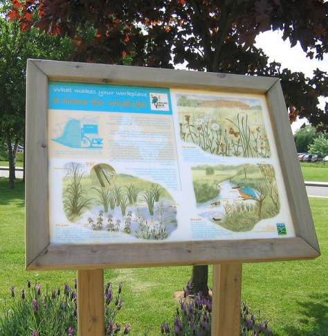 Visitor Experience and Interpretation – an Introduction | Interpretive ...