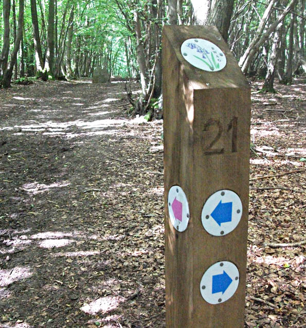 Visitor Experience and Interpretation – an Introduction | Interpretive ...